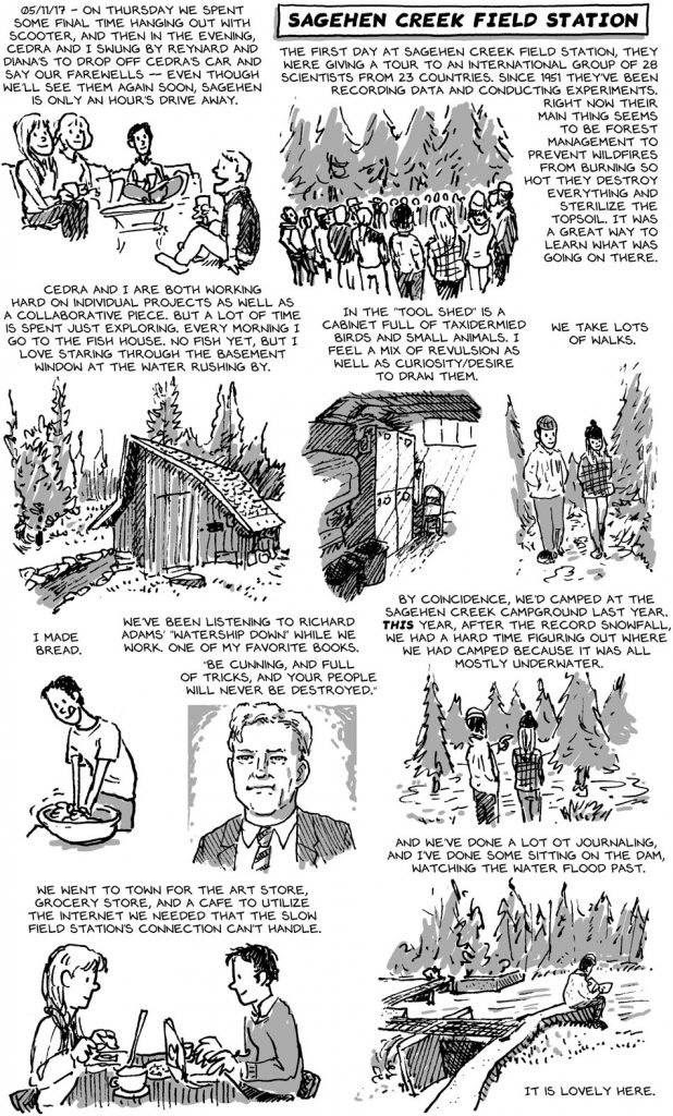 05/19/17 Diary: Sagehen Creek Field Station | Baldwin Journal Comic